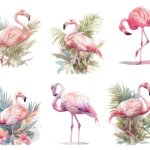 Flamingo Clipart. Tropical Clipart. Floral Clipart, Bird Clip Art, PNG ...