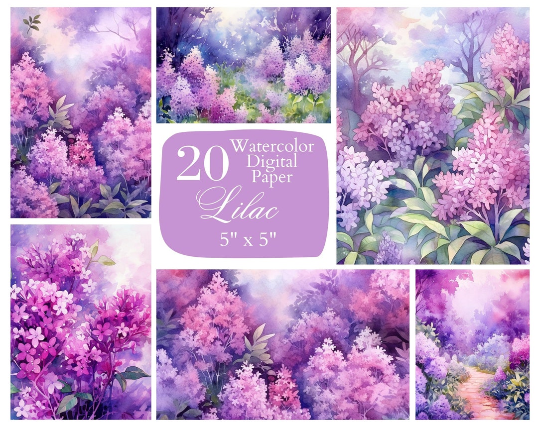 Lilac Digital Paper, Lilac Clipart, Garden. Watercolor Scrapbook Paper ...