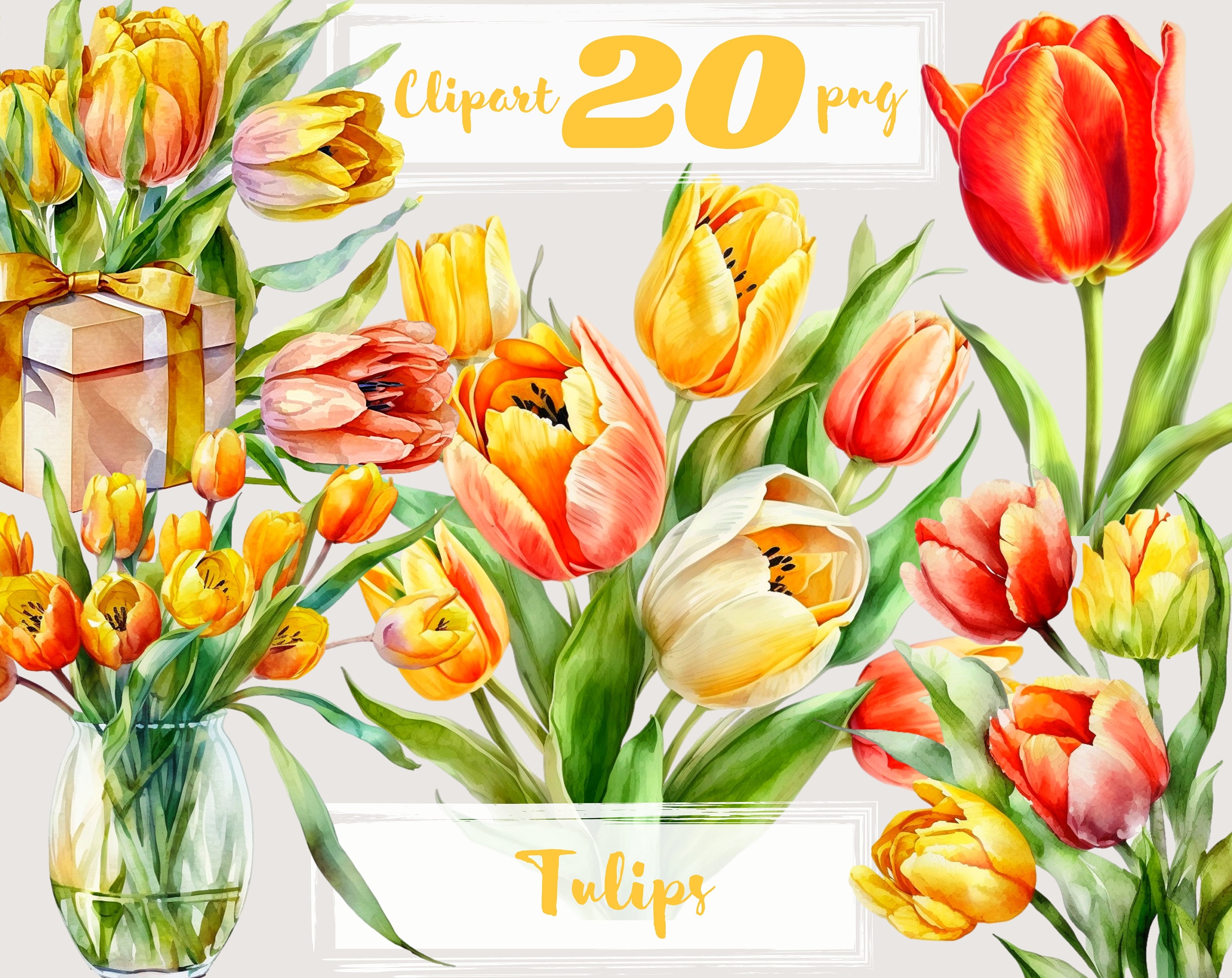 Tulip Clipart. Spring Clipart. Floral Clipart, Field, Garden, Blooming ...