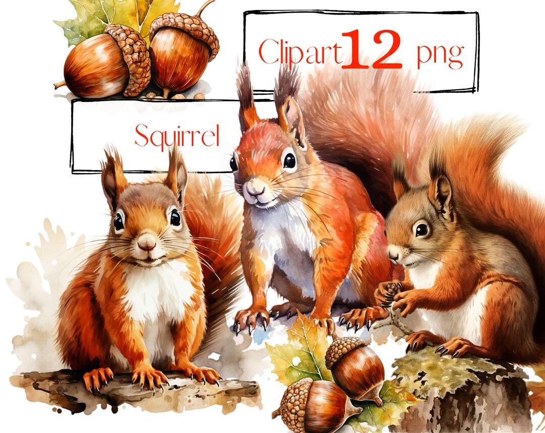 Squirrel Clipart, Autumn Clipart, Watercolor Clipart, Png Bundle ...