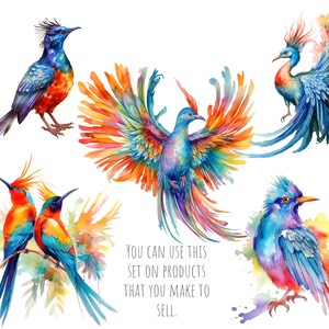 Magic Birds Clipart, Paradise Birds Clipart, Tropical Clip Art ...