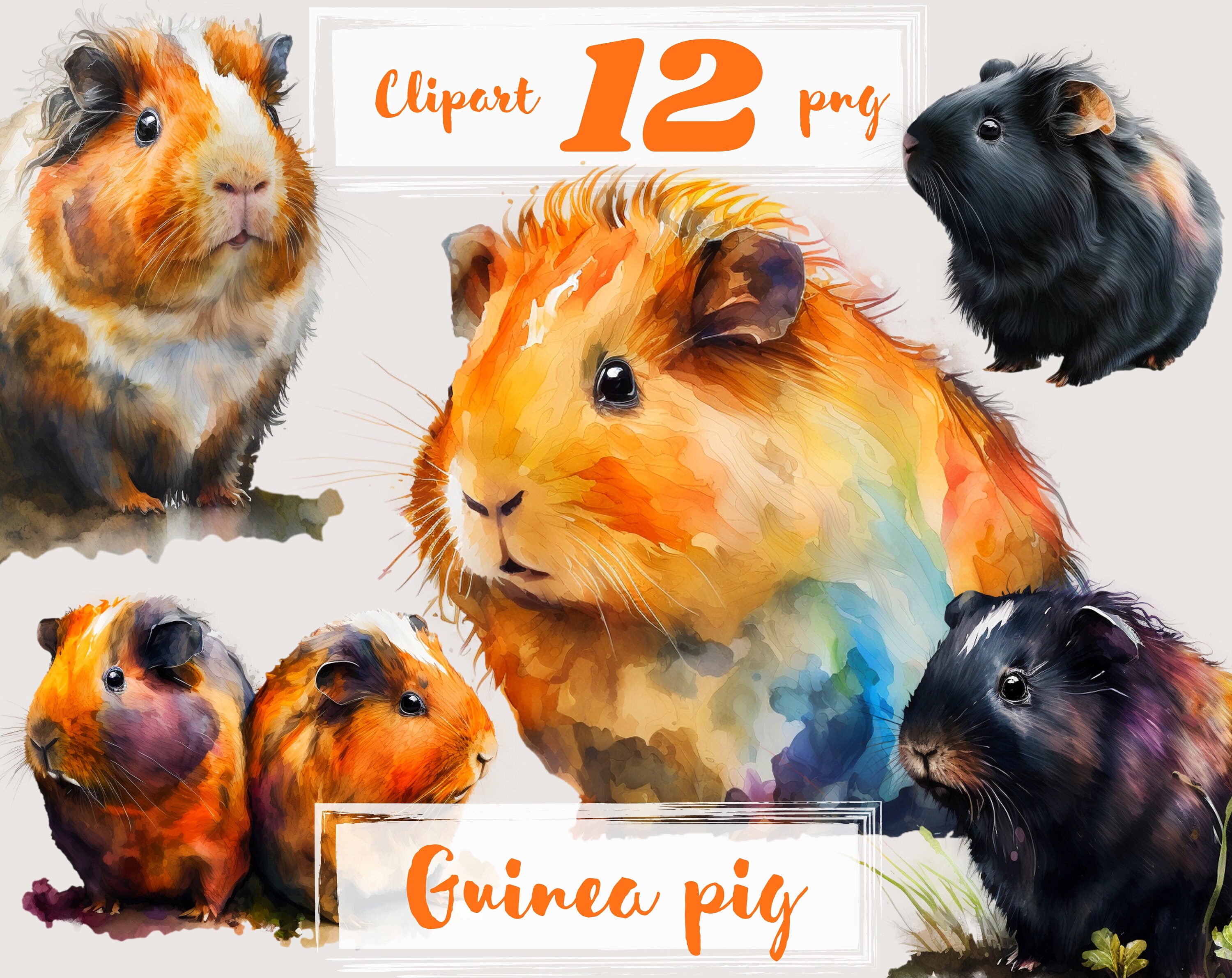 Guinea Pig Clipart. Cute Animals Clip Art Png. Digital - Etsy UK