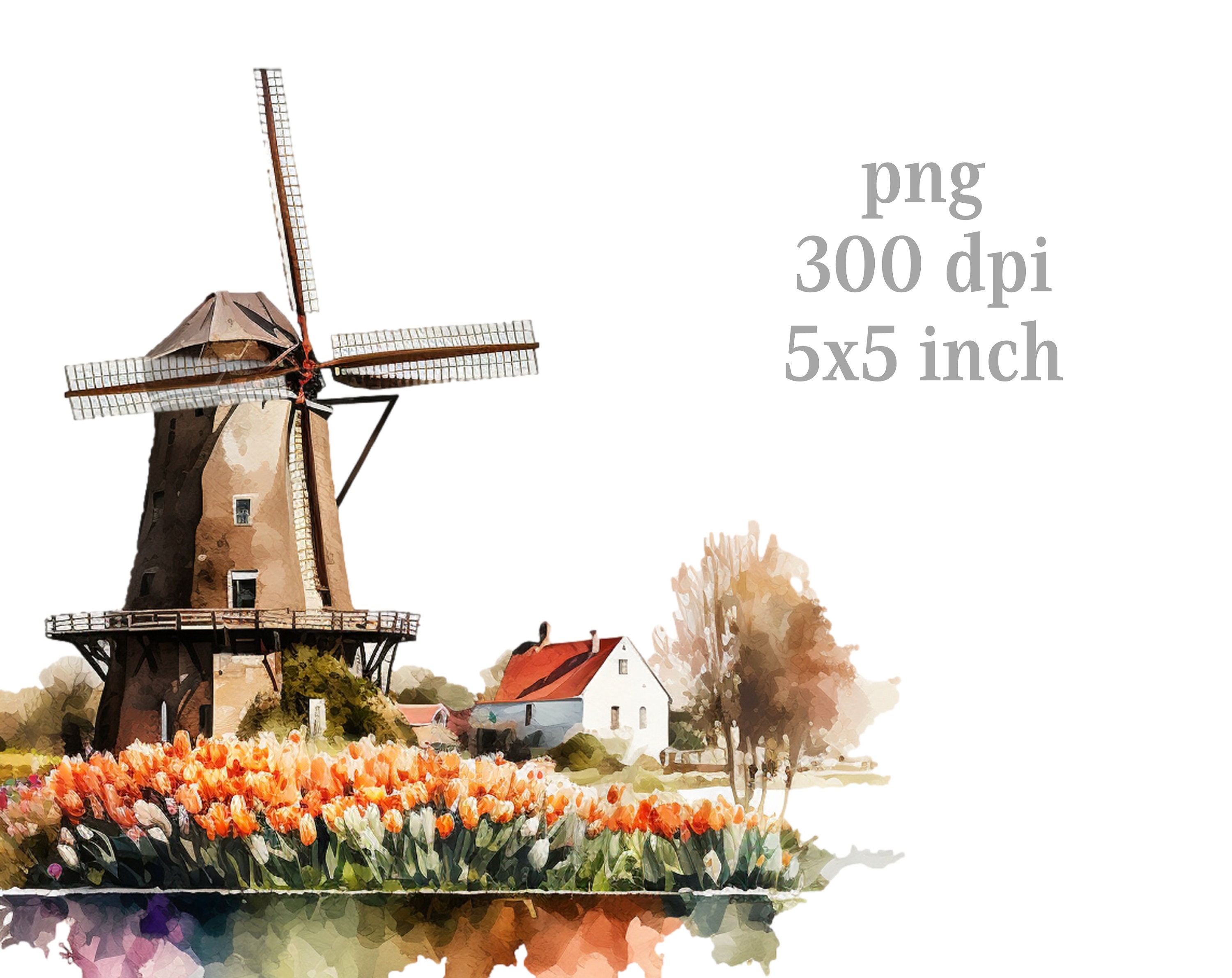 Holland Clipart Netherlands Clip Art Tulip Clipart - Etsy Australia