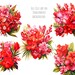 Red Tropical Flowers PNG Watercolor Floral Clipart Bouquets - Etsy