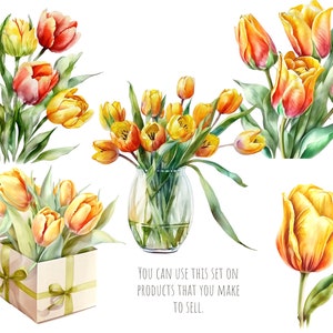 Tulip Clipart. Spring Clipart. Floral Clipart, Field, Garden, Blooming ...