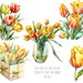 Tulip Clipart. Spring Clipart. Floral Clipart, Field, Garden, Blooming ...