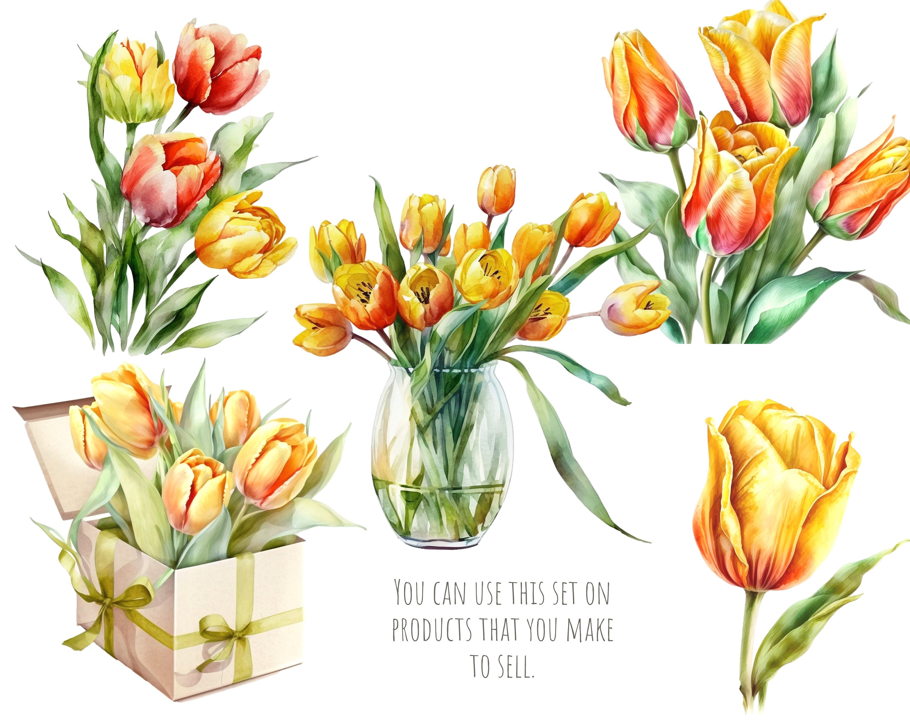 Tulip Clipart. Spring Clipart. Floral Clipart, Field, Garden, Blooming ...