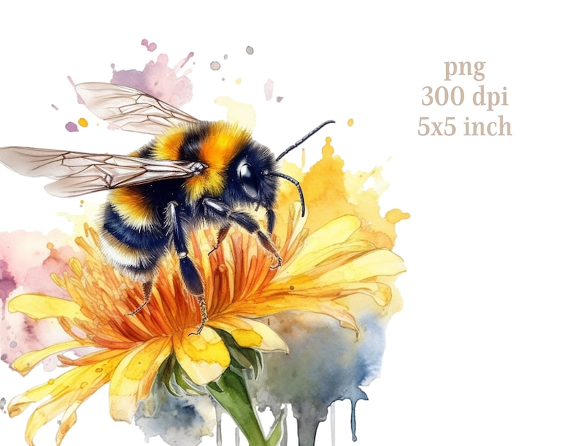 Bumblebee Clipart. Bee Clipart. Floral Clipart Field Clipart - Etsy