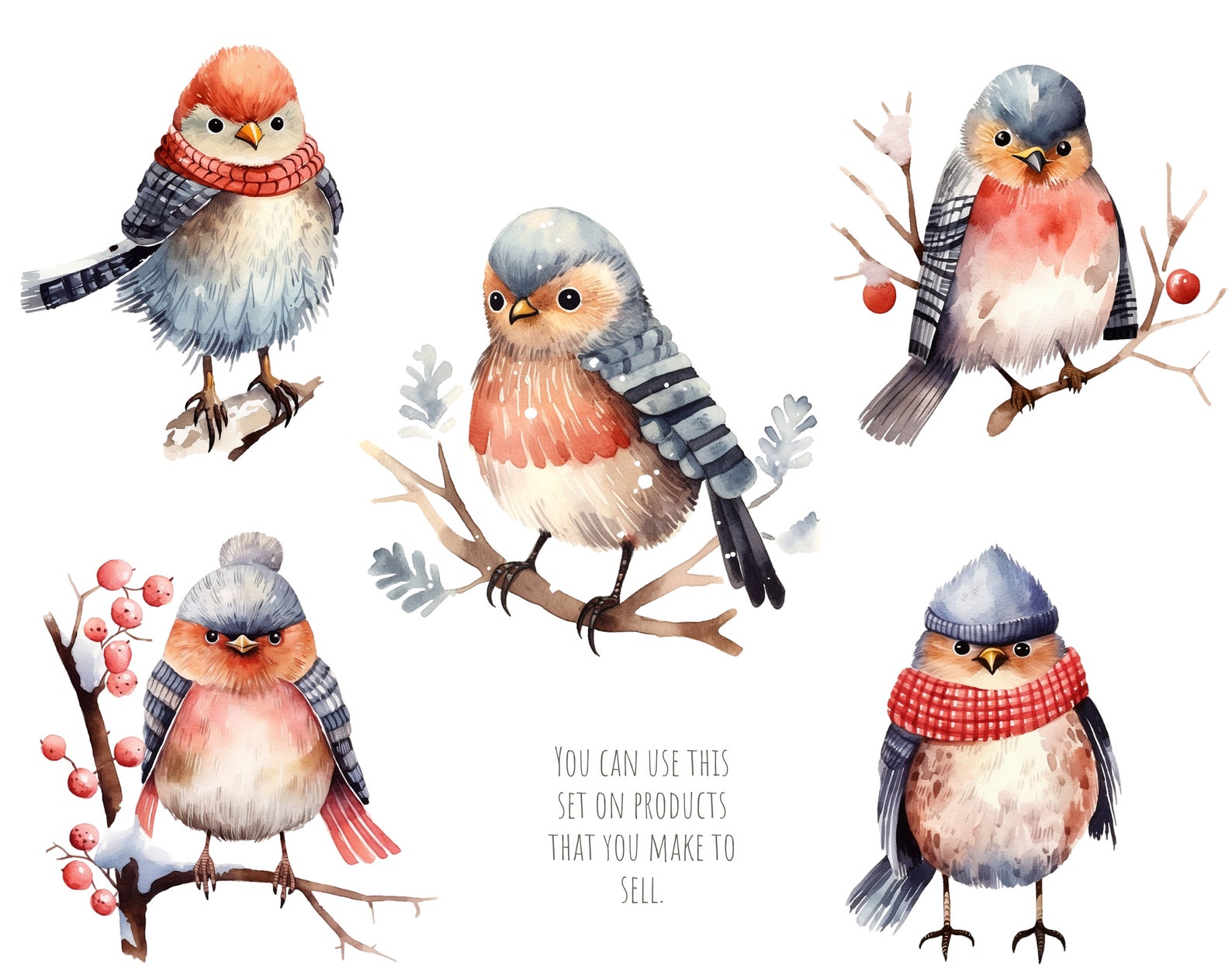Winter Birds Clipart, Christmas Clipart, Winter Clipart, Bird Clipart ...