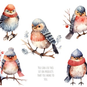 Winter Birds Clipart, Christmas Clipart, Winter Clipart, Bird Clipart ...