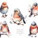 Winter Birds Clipart Christmas Clipart Winter Clipart Bird - Etsy