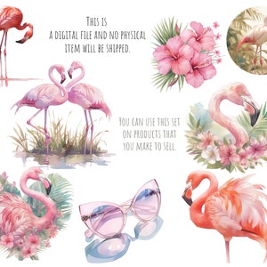 Flamingo Clipart. Tropical Clipart. Floral Clipart, Bird Clip Art, PNG ...
