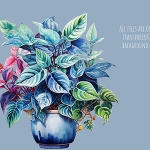 House Plants Clipart. Potted Flowers Clipart, Home, Houseplants. Floral ...