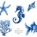 Blue Watercolor Sea Clipart, Nautical PNG, Sealife Graphics (digital ...