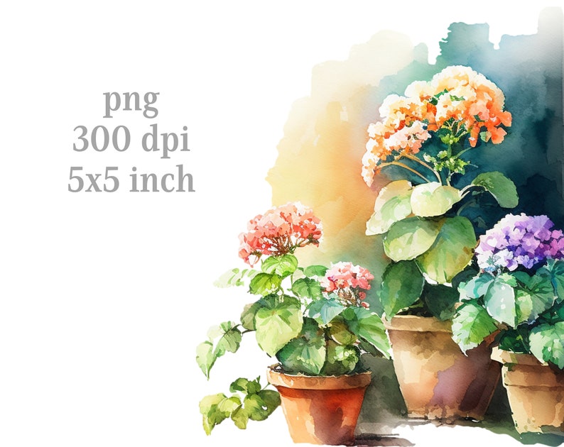 House Plants Clipart. Potted Flowers Clipart Outdoor - Etsy