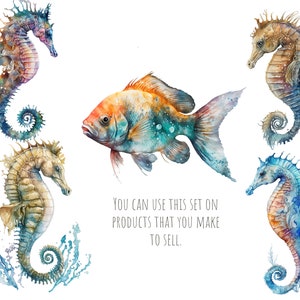 Seahorse Clipart, Nautical Clipart. Ocean Animal. Sea Animals Clip Art ...