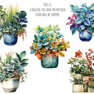 House Plants Clipart. Potted Flowers Clipart, Home, Houseplants. Floral ...