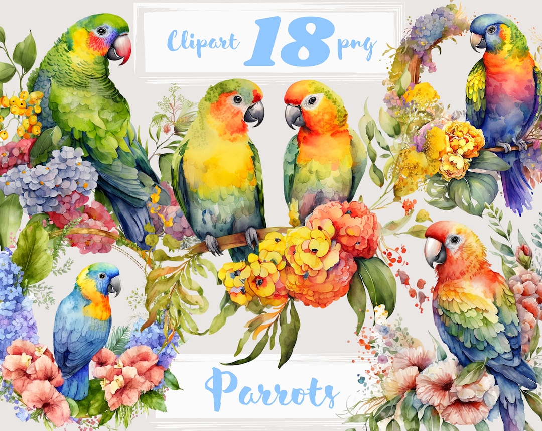 Parrot Clipart. Tropical Clipart. Floral Clipart, Bird Clip Art, PNG ...