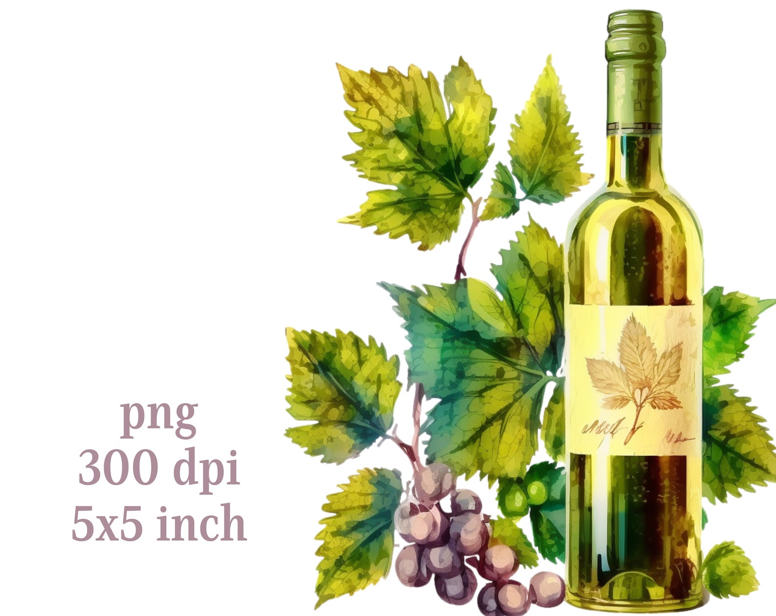 Watercolor Wine Clipart Png Bundle Png. Digital Watercolor. - Etsy
