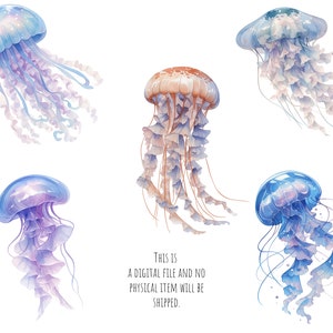 Jellyfish Clipart, Nautical Clipart. Ocean, Sea Clip Art, Transparent ...
