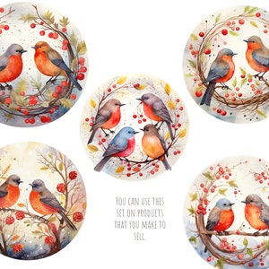 Winter Birds Clipart, Christmas Clipart, Winter Clipart, Bird Clipart ...