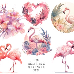 Flamingo Clipart. Tropical Clipart. Floral Clipart, Bird Clip Art, PNG ...