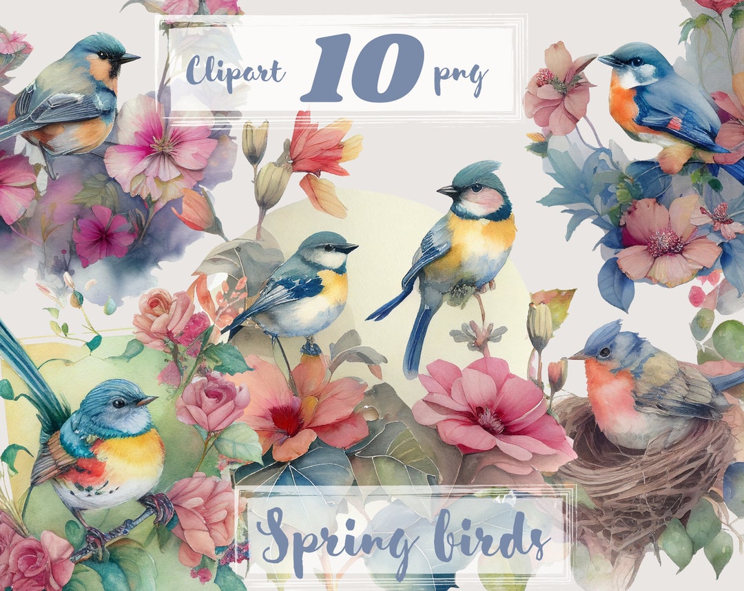 Spring Bird Clipart, Floral Clip Art, Png. Watercolor Clipart. Free ...