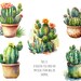 Cactus Clip Art, Succulent Clipart, Floral Clip Art, Png. Digital ...