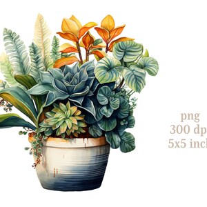 House Plants Clipart. Potted Flowers Clipart, Home, Houseplants. Floral ...