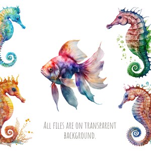 Seahorse Clipart, Nautical Clipart. Ocean Animal. Sea Animals Clip Art ...