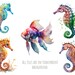 Seahorse Clipart, Nautical Clipart. Ocean Animal. Sea Animals Clip Art ...