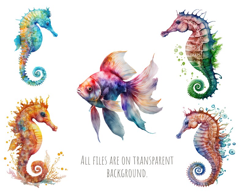 Seahorse Clipart Nautical Clipart. Ocean Animal. Sea Animals - Etsy