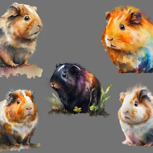 Guinea Pig Clipart. Cute Animals Clip Art, Png. Digital Watercolor ...