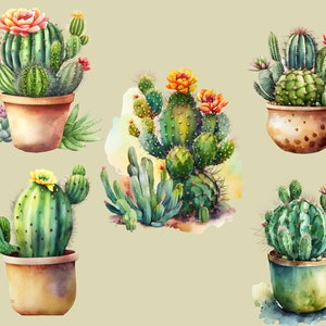 Cactus Clip Art, Succulent Clipart, Floral Clip Art, Png. Digital ...