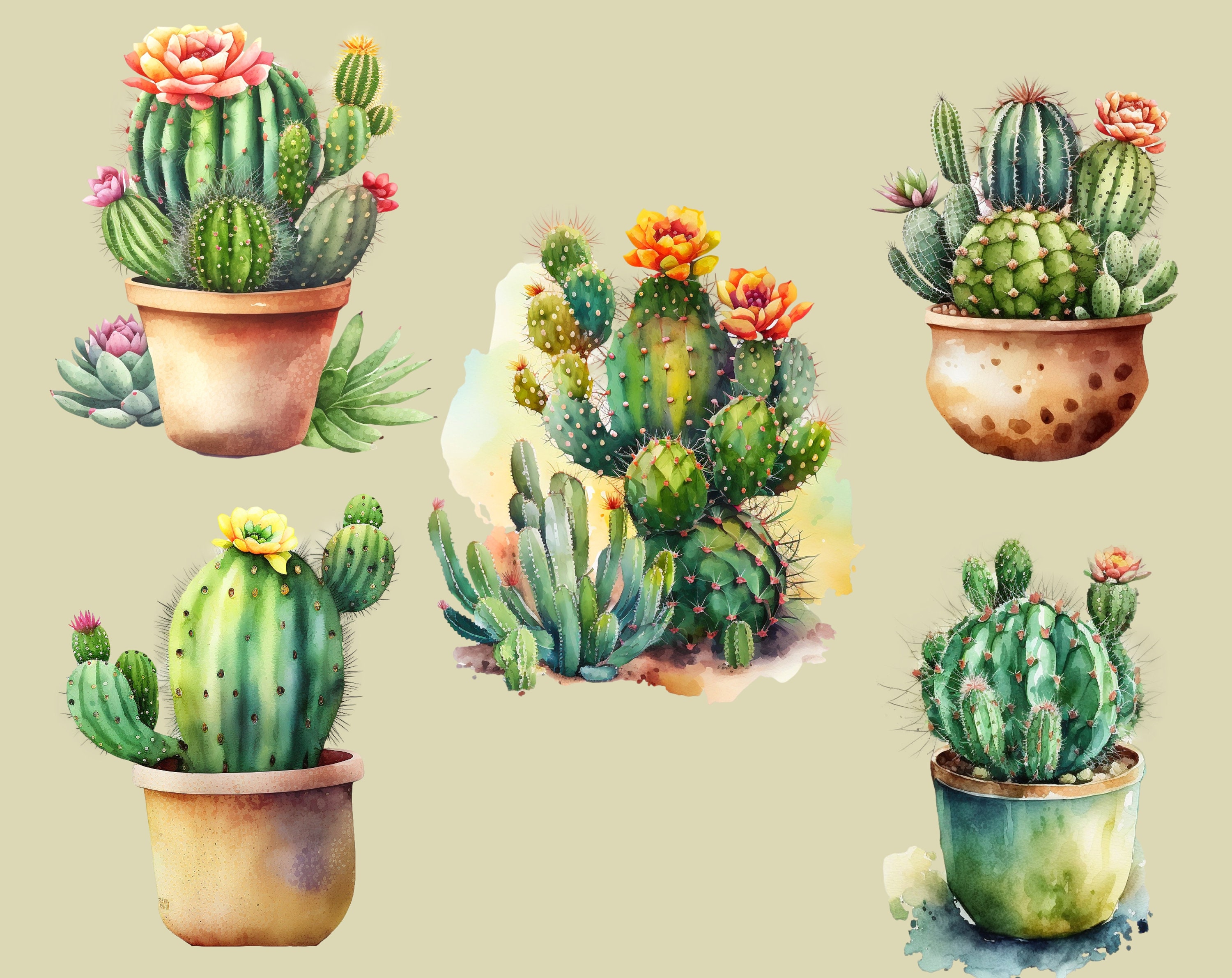 Cactus Clip Art Succulent Clipart Floral Clip Art Png. - Etsy