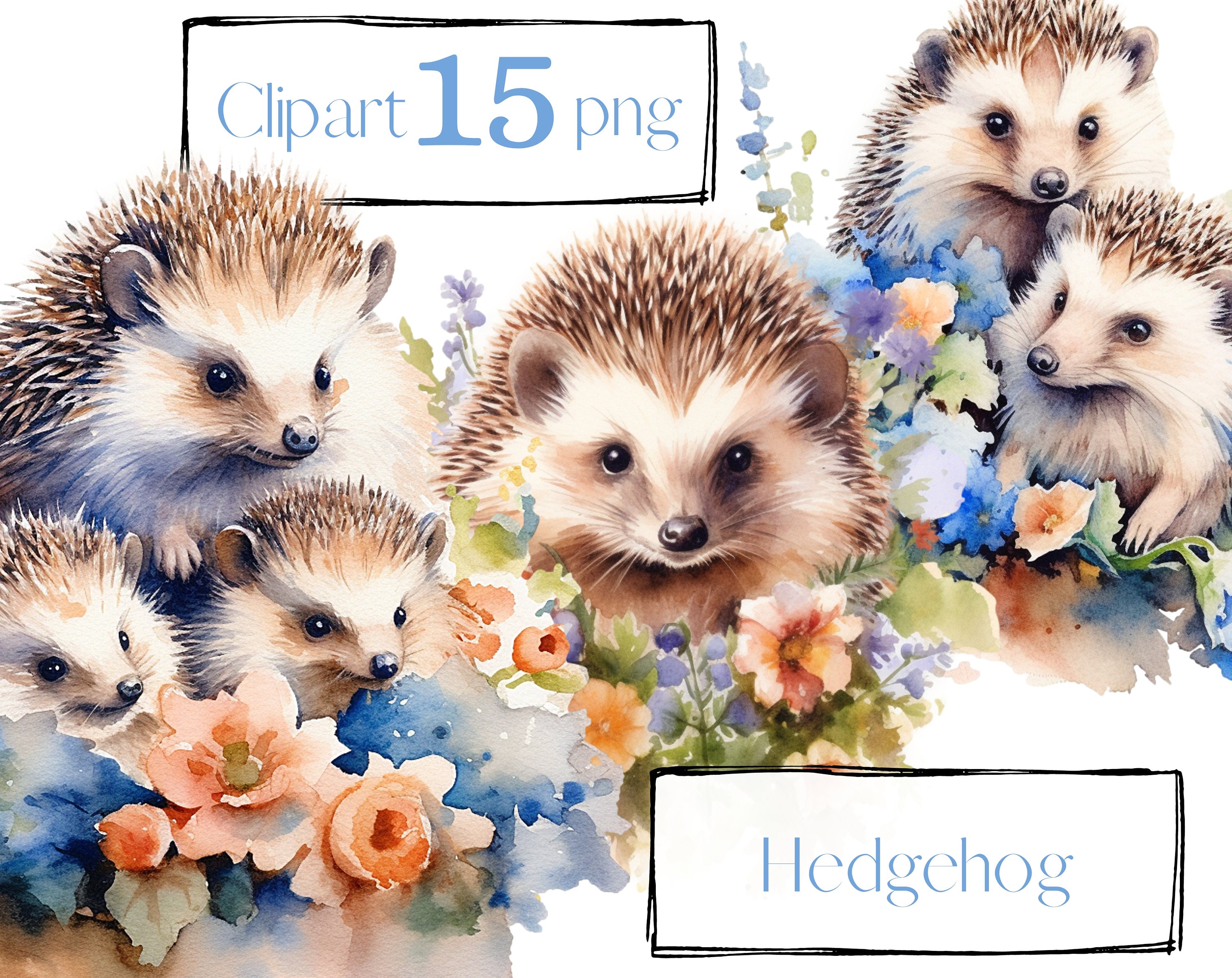 Hedgehog Clipart. Nursery Clipart. Garden Clipart Kid - Etsy