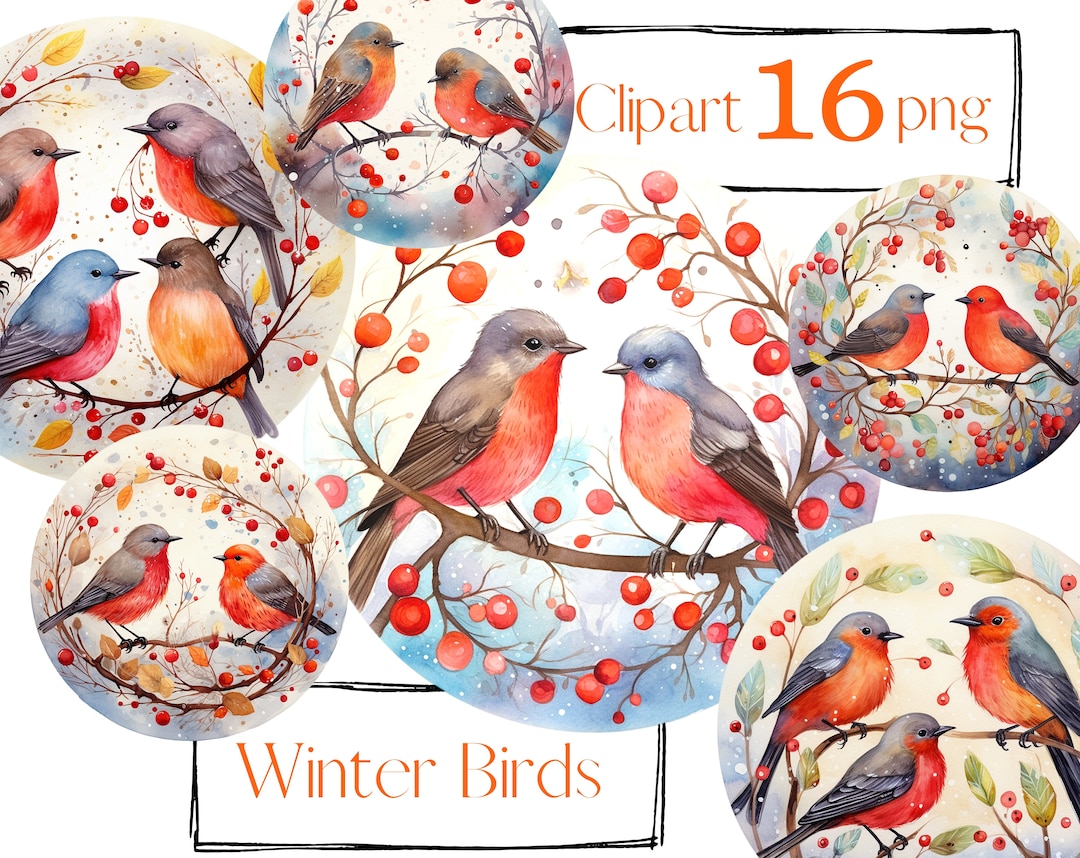 Winter Birds Clipart, Christmas Clipart, Winter Clipart, Bird Clipart ...
