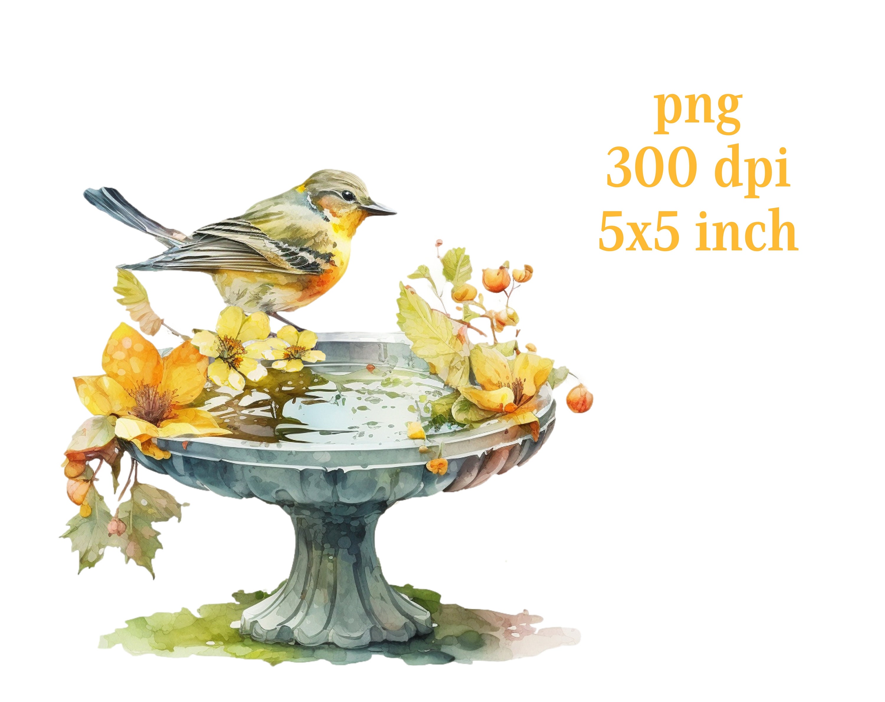 Spring Bird Clipart Floral Clip Art Birdbaths Clipart Png. - Etsy