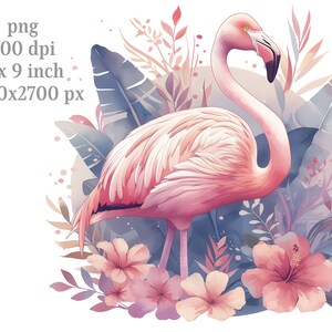 Flamingo Clipart. Tropical Clipart. Floral Clipart, Bird Clip Art, PNG ...
