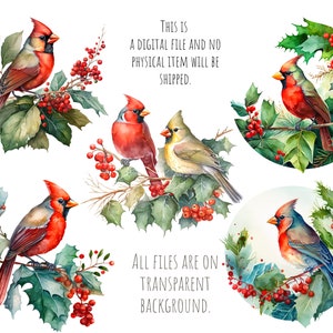 Cardinal Clipart, Christmas Clipart, Winter Clipart, Bird Clipart, Red ...