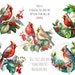 Cardinal Clipart, Christmas Clipart, Winter Clipart, Bird Clipart, Red ...
