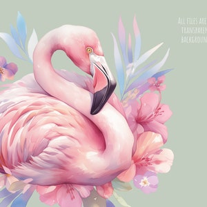 Flamingo Clipart. Tropical Clipart. Floral Clipart, Bird Clip Art, PNG ...
