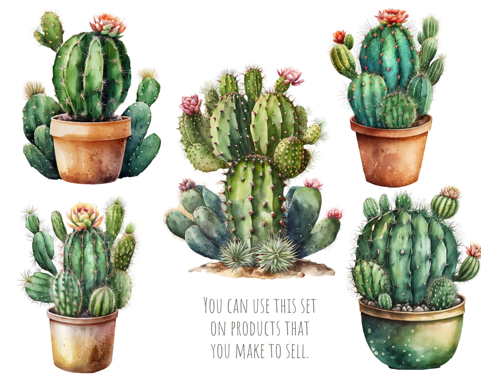Cactus Clip Art Succulent Clipart Floral Clip Art Png. - Etsy