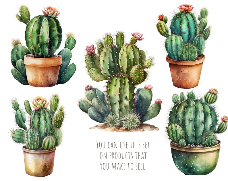 Cactus Clip Art Succulent Clipart Floral Clip Art Png. - Etsy