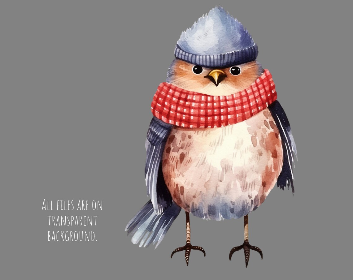 Winter Birds Clipart, Christmas Clipart, Winter Clipart, Bird Clipart ...