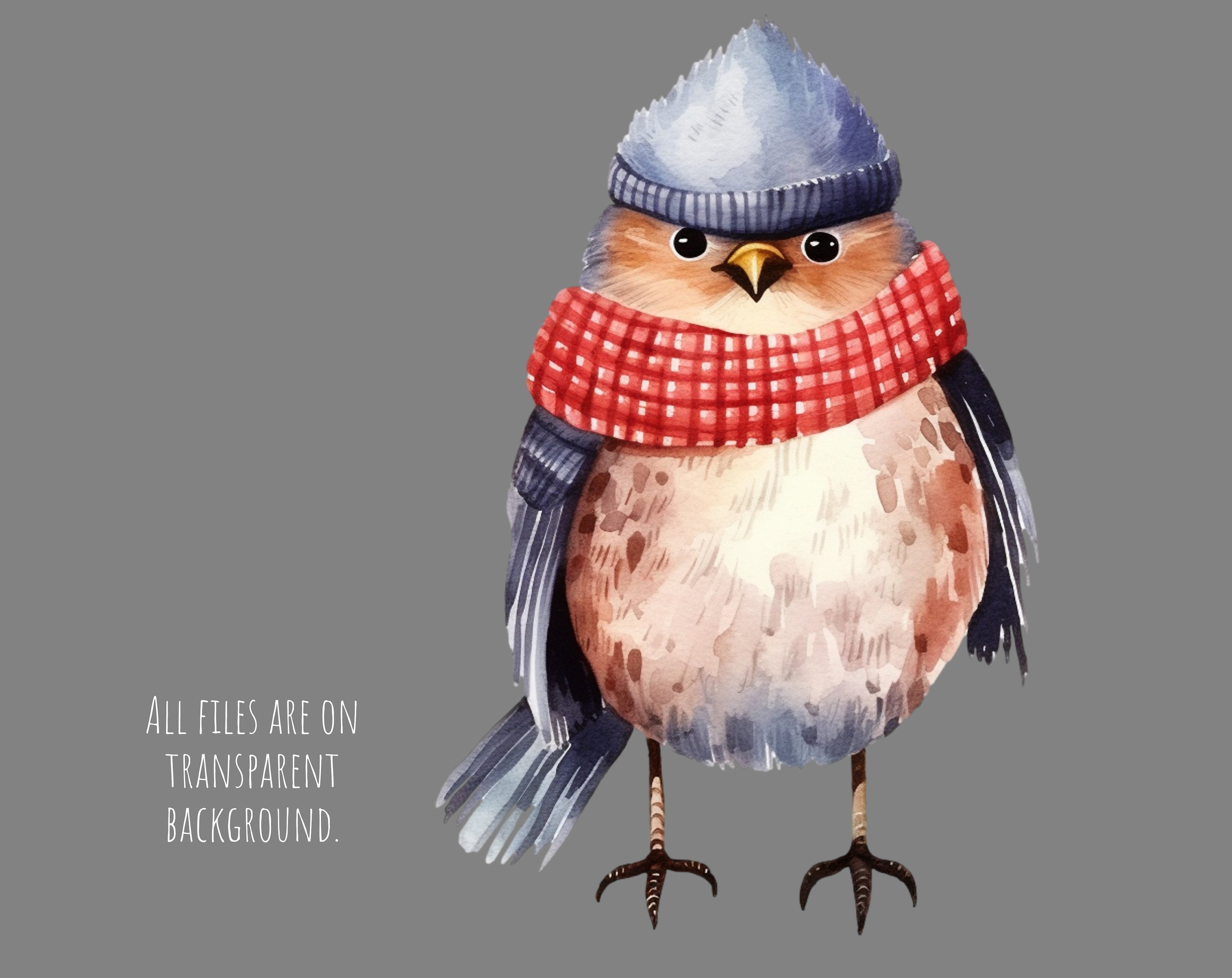Winter Birds Clipart, Christmas Clipart, Winter Clipart, Bird Clipart ...