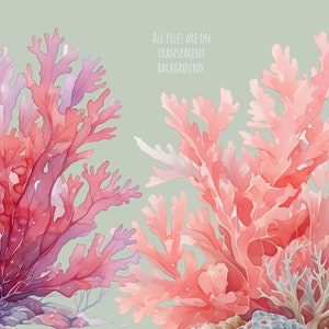 Sea Shell Clipart, Nautical Bundle. Ocean Clipart. Sea Clipart, Png ...