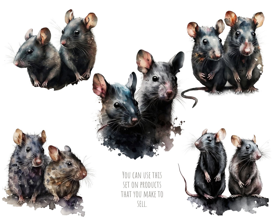 Rat Clipart. Mouse Clipart. Pet Clipart. Animal Clipart. Cute - Etsy