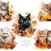 Cat Clipart Autumn Clipart Watercolor Clipart Png Bundle. - Etsy