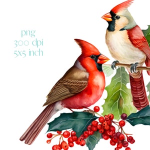 Cardinal Clipart, Christmas Clipart, Winter Clipart, Bird Clipart, Red ...